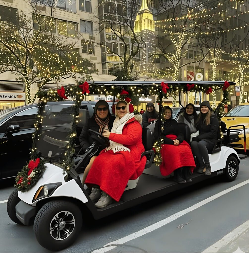 NYC Christmas Lights Cozy Cart Tour Giveaway — Win a Private Holiday ...